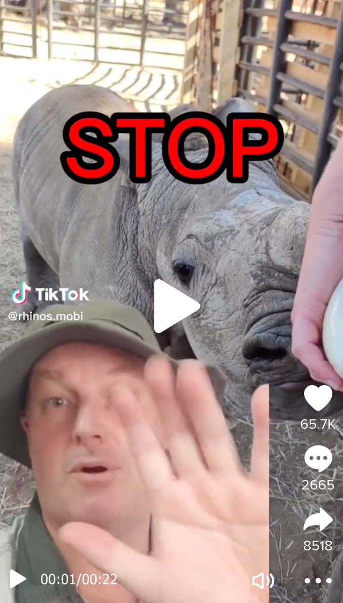 How to Use Ko-fi With TikTok – Ko-fi Help